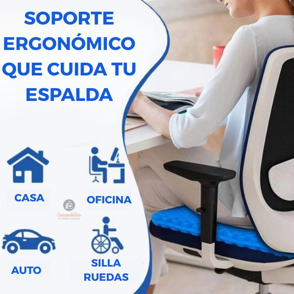 ErgoPlus – Mantén tu espalda cómoda durante largas horas de trabajo – Carandelia Store